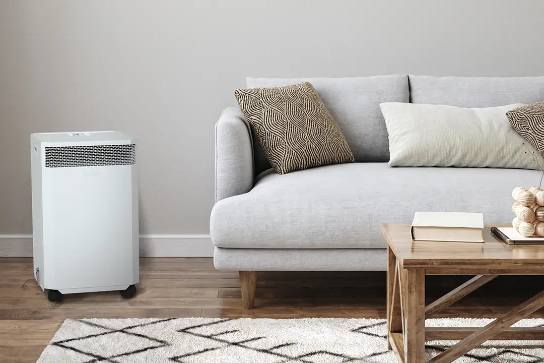 INOVA Air Purifiers | Hutchin Family Testimonial