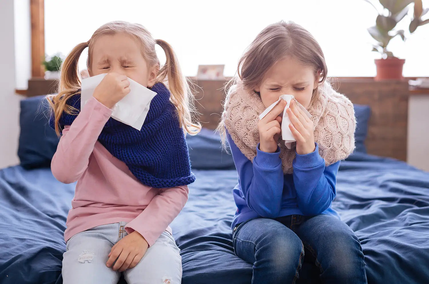 Air Hygiene, Staying Safe Indoors and Air Purifiers.